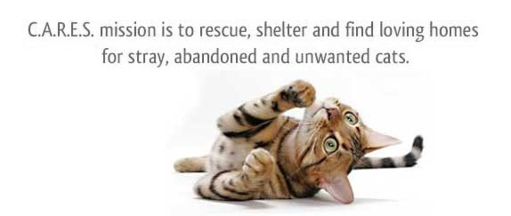 Combined Logos – CARES Cat Shelter